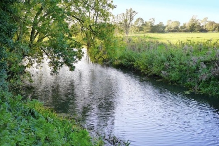 Network Norfolk : An opportunity come aside and rest a while at Bungay