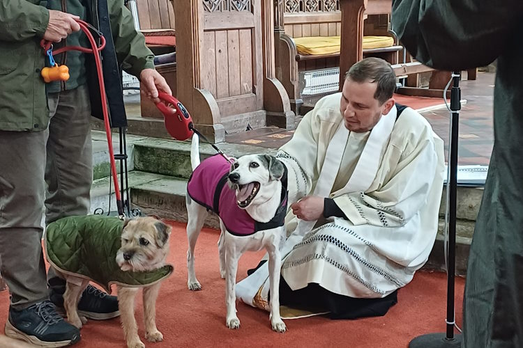 Network Norfolk : Horning church welcomes pets for service