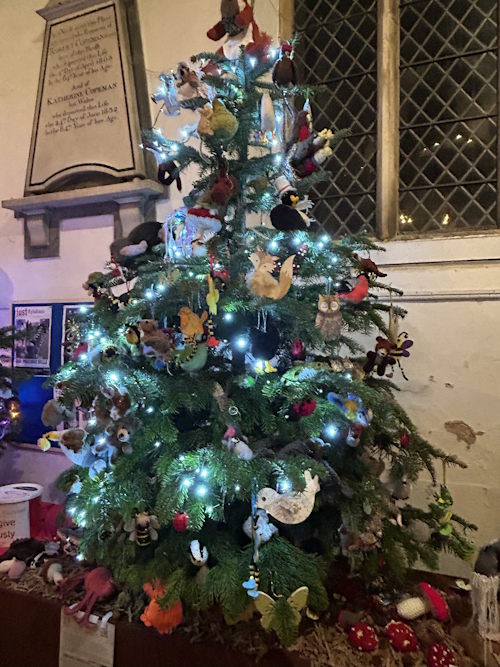 Network Norfolk : Aylsham church’s Christmas tree fest and concert